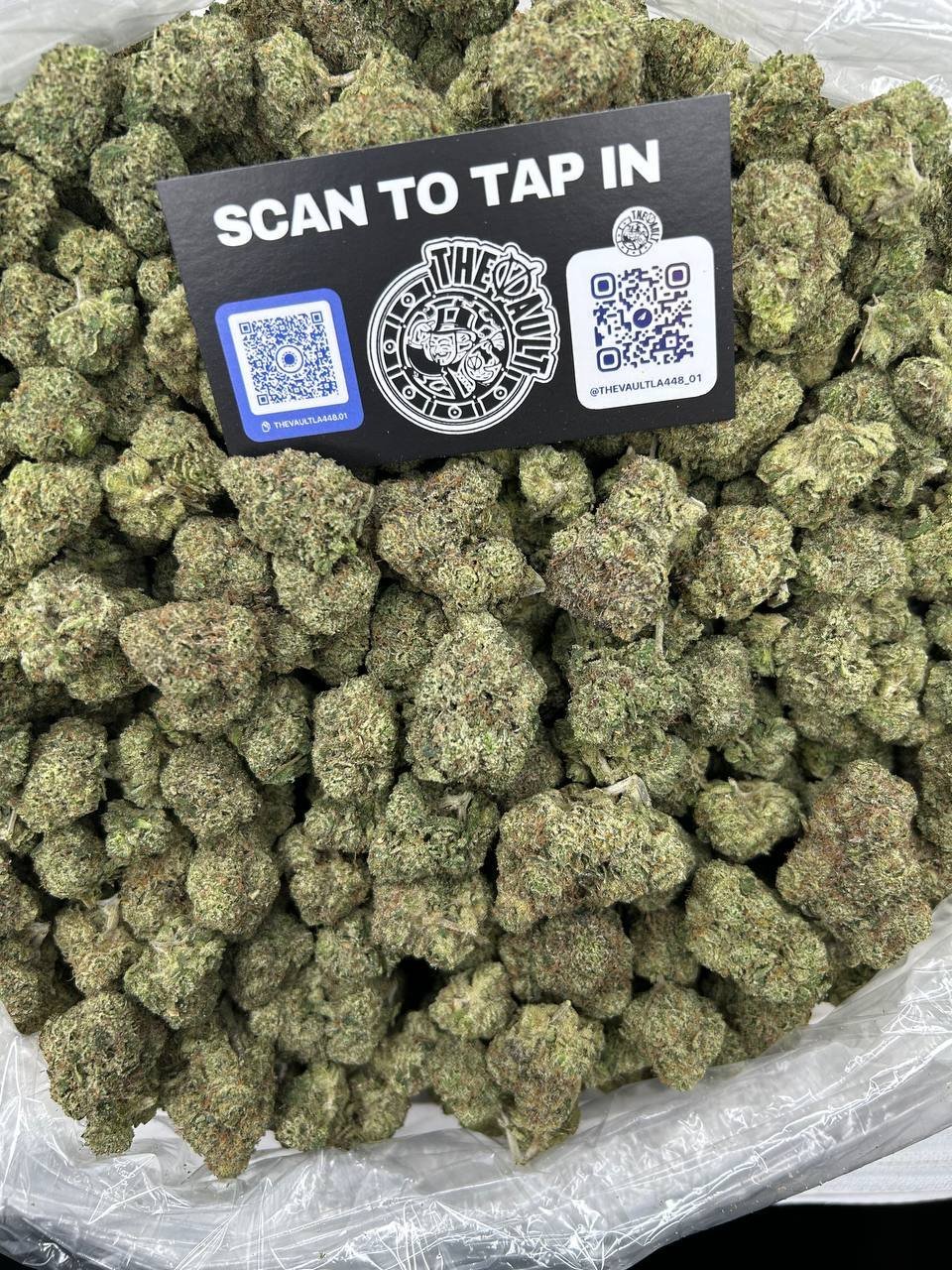 Blue Nerdz The Vault La